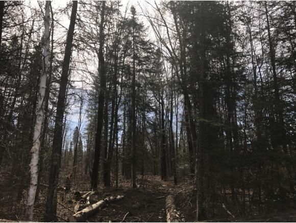 W1851 Johnson Ave Brantwood, WI